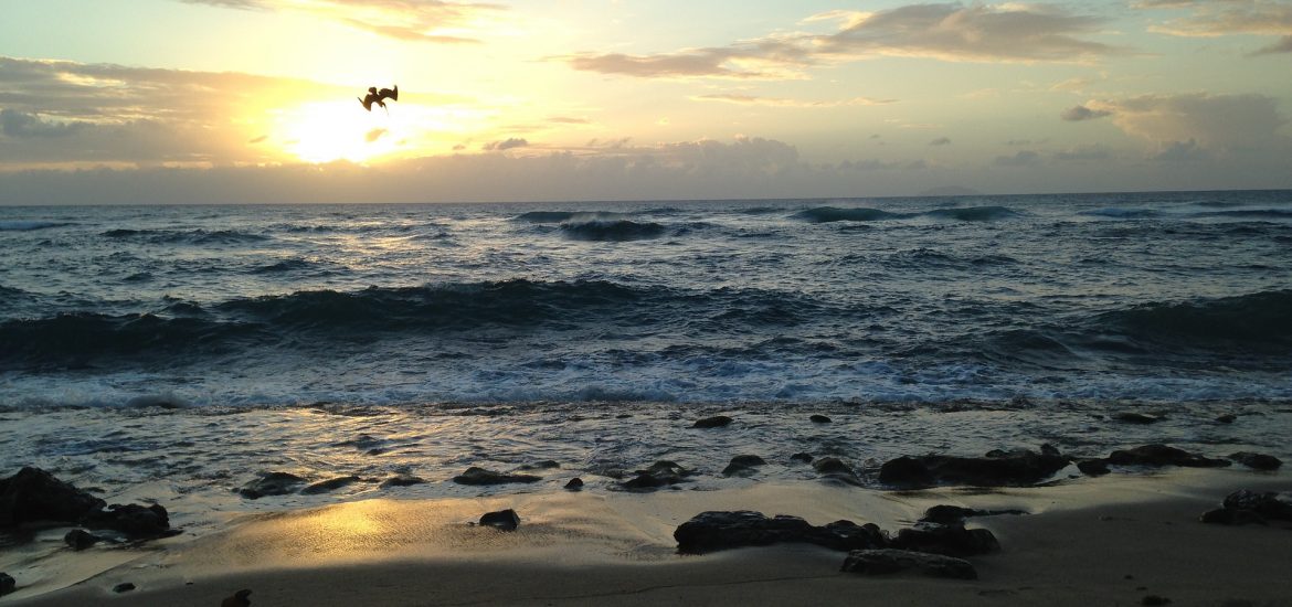 Visitare Puerto Rico o Portorico, la isla dell'encanto, tra foresta e mare