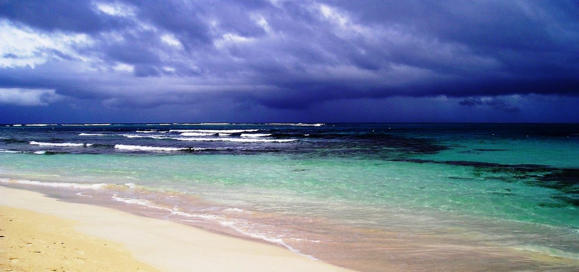 Visitare Puerto Rico o Portorico, la isla dell'encanto, tra foresta e mare