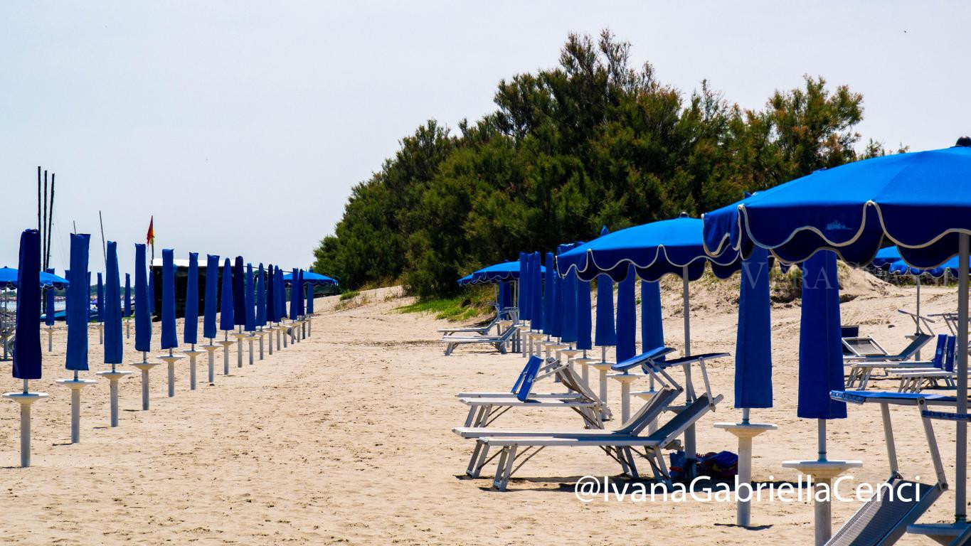 Vacanze all'isola di Albarella: natura, mare e relax