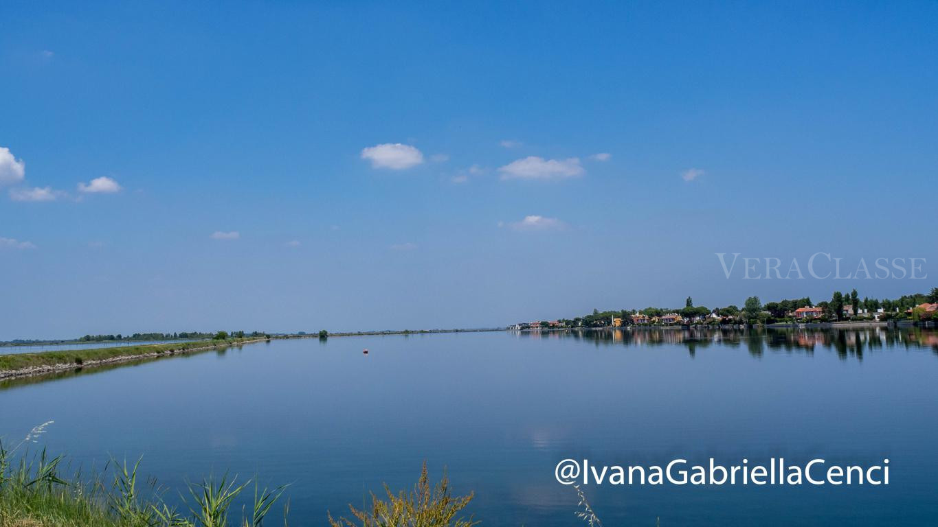 Vacanze all'isola di Albarella: natura, mare e relax