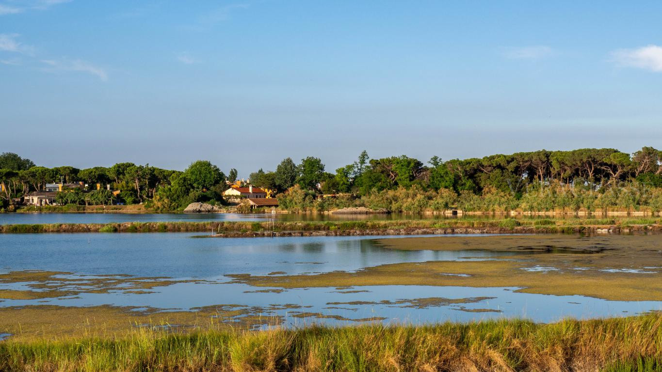 Vacanze all'isola di Albarella: natura, mare e relax