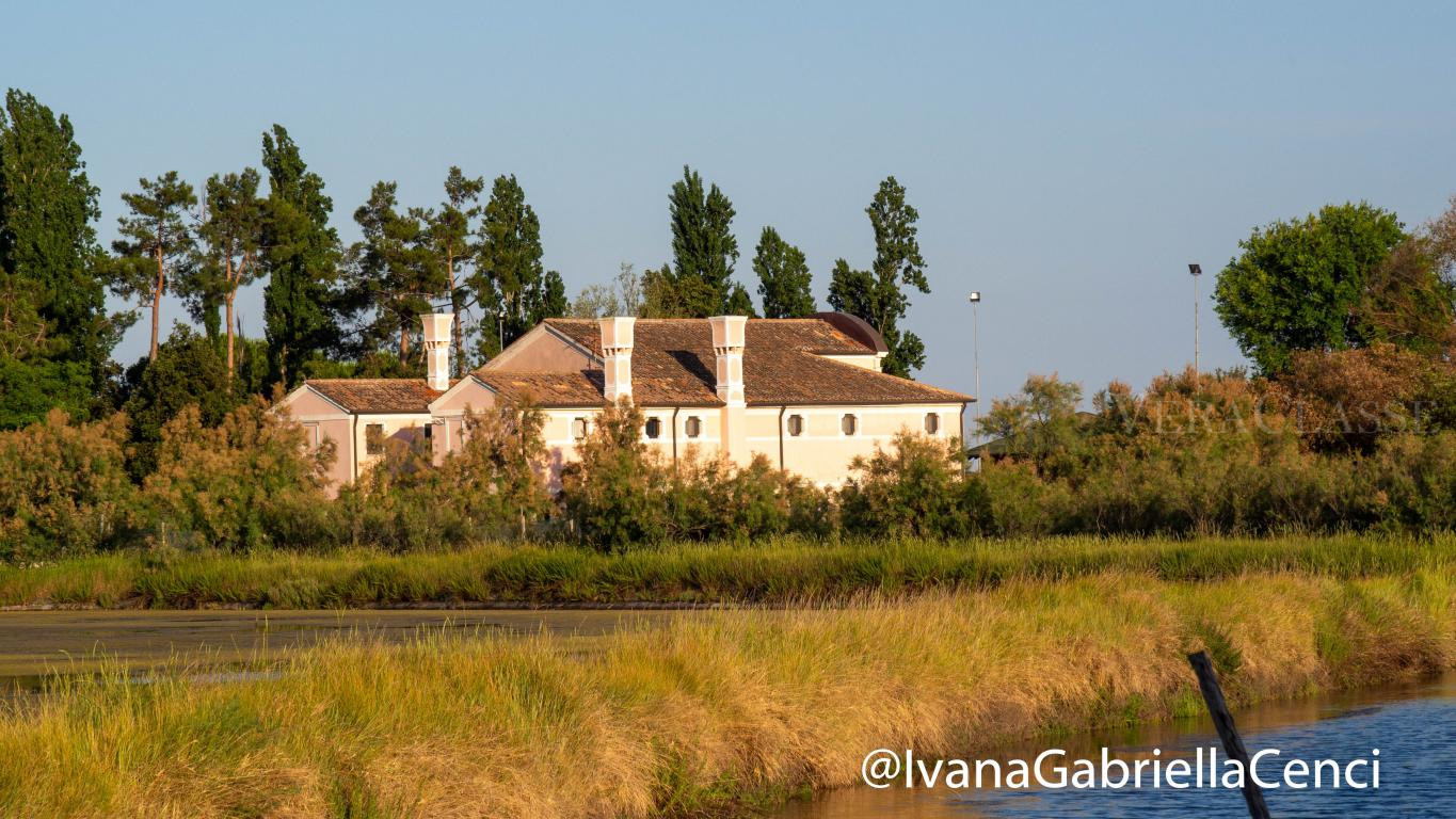 Vacanze all'isola di Albarella: natura, mare e relax