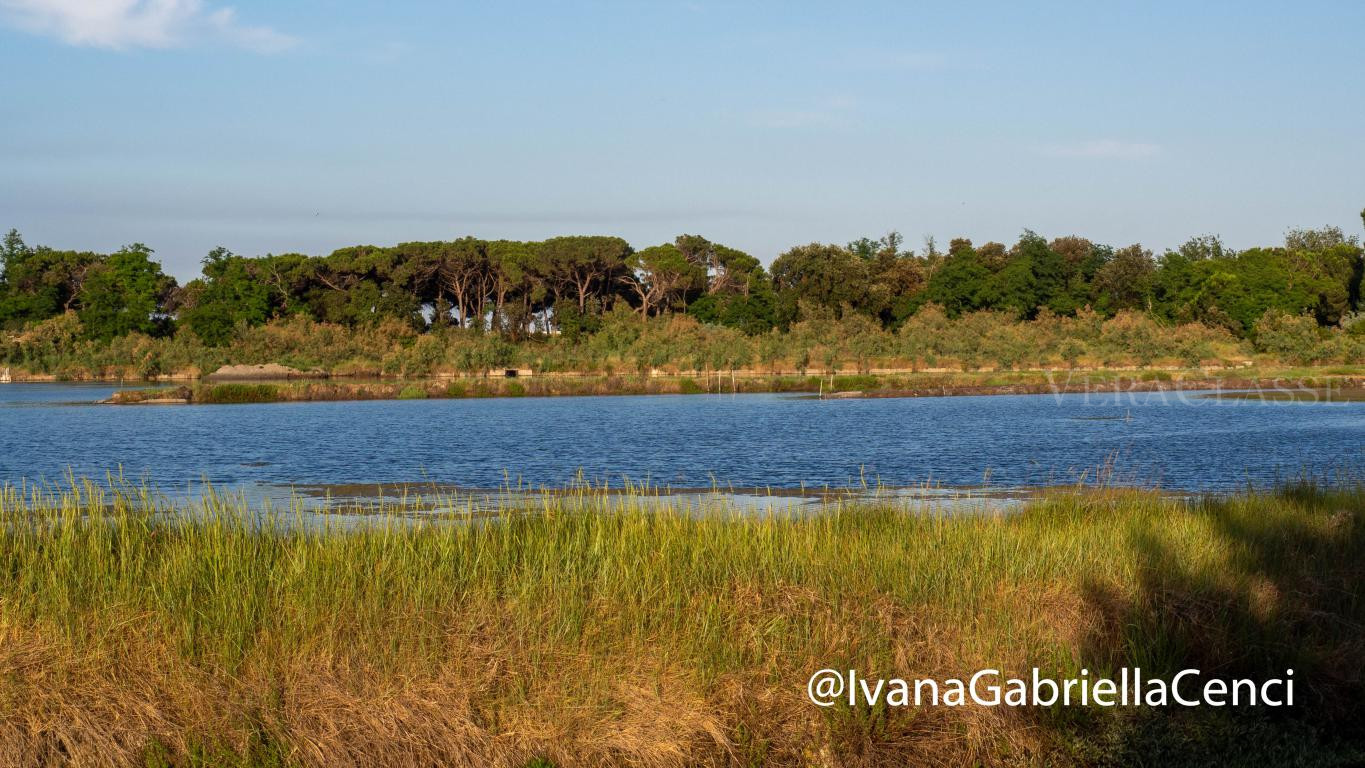 Vacanze all'isola di Albarella: natura, mare e relax