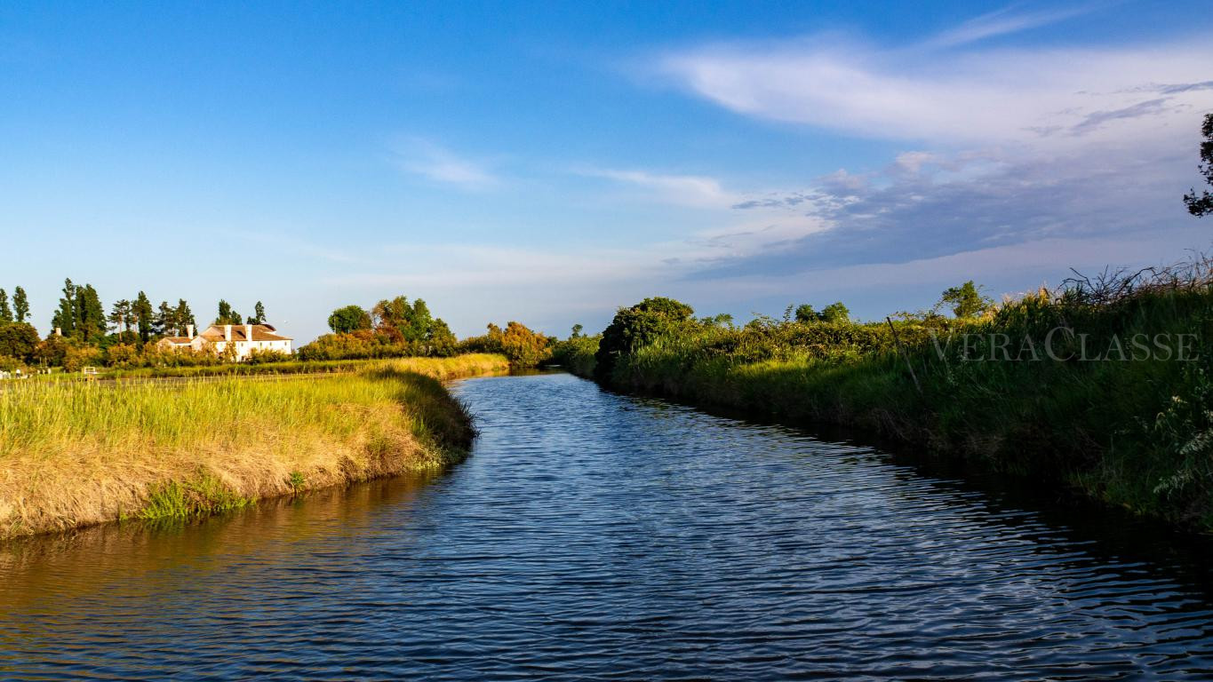 Vacanze all'isola di Albarella: natura, mare e relax