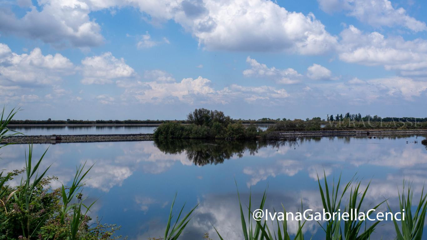 Vacanze all'isola di Albarella: natura, mare e relax