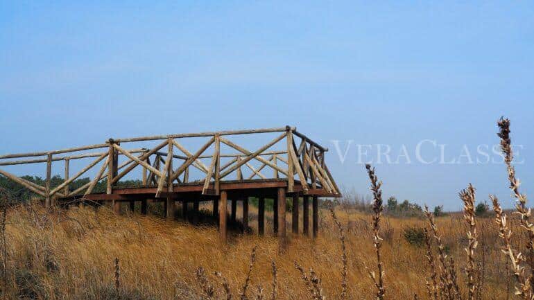Porto Caleri, la spiaggia libera e il giardino botanico - VeraClasse