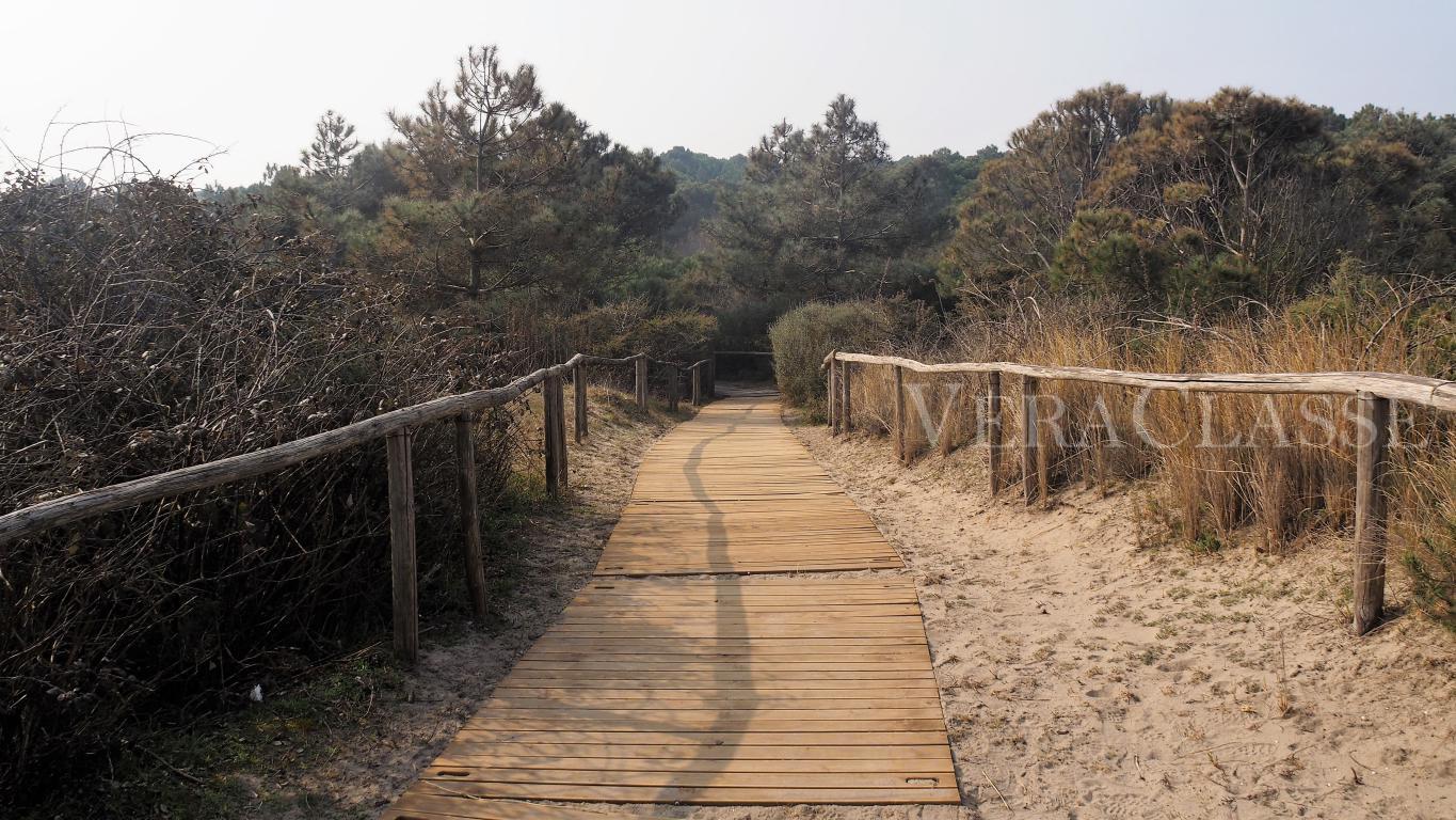Porto Caleri, la spiaggia libera e il giardino botanico - VeraClasse