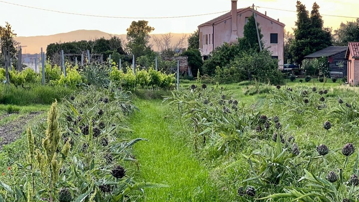 Isola delle Vignole: una nuova location per eventi - VeraClasse
