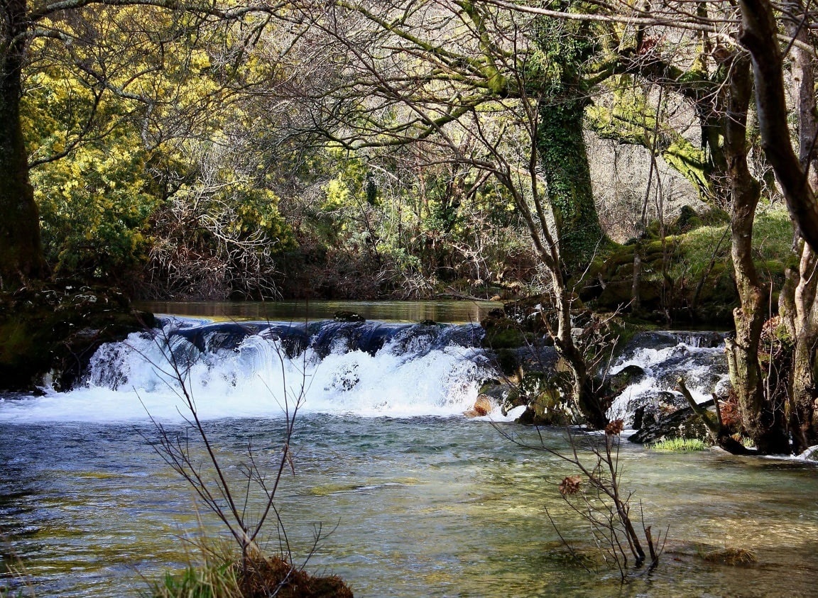 Parco del Mincio: itinerari tra natura e letteratura - VeraClasse