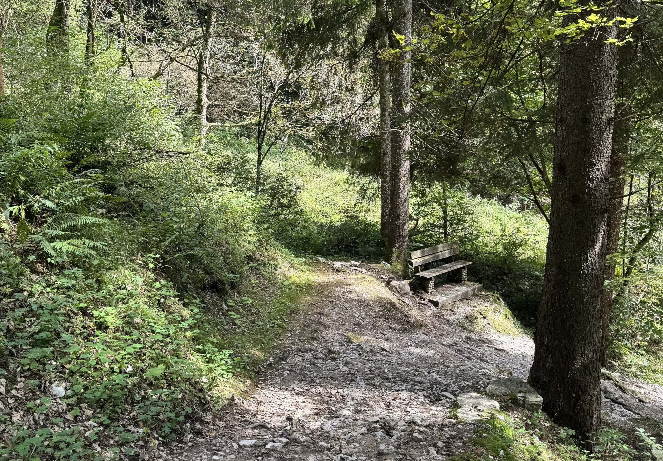 Valle dei Mulini di Gallio: escursione tra storia e natura sull ...