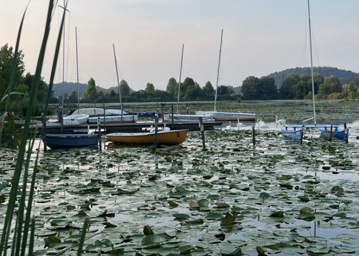 Lago di Fimon: cosa vedere tra archeologia, natura e passeggiate vicino ...